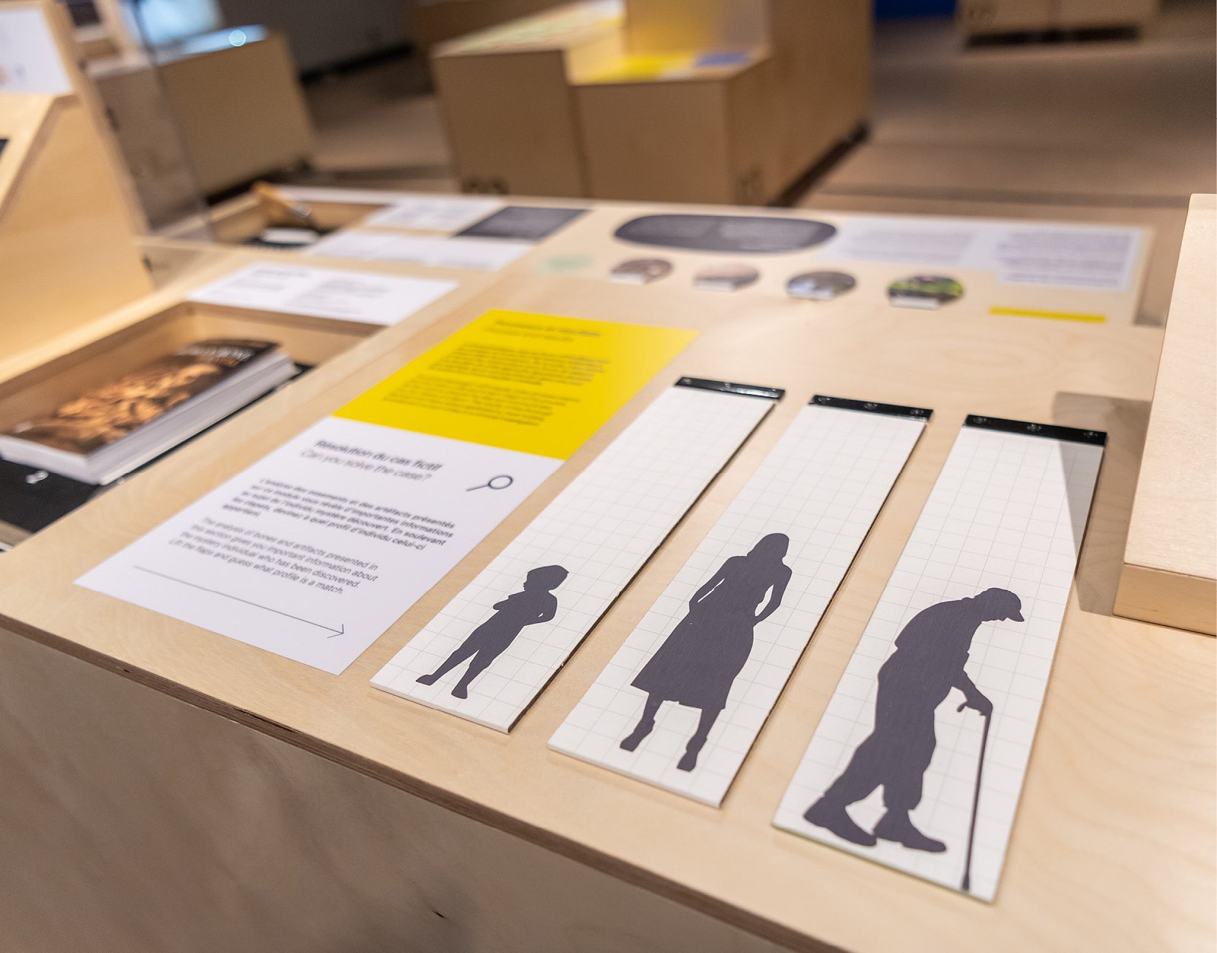 ArchéoMusée Roussillon RS | Archéologie et enquêtes criminelles